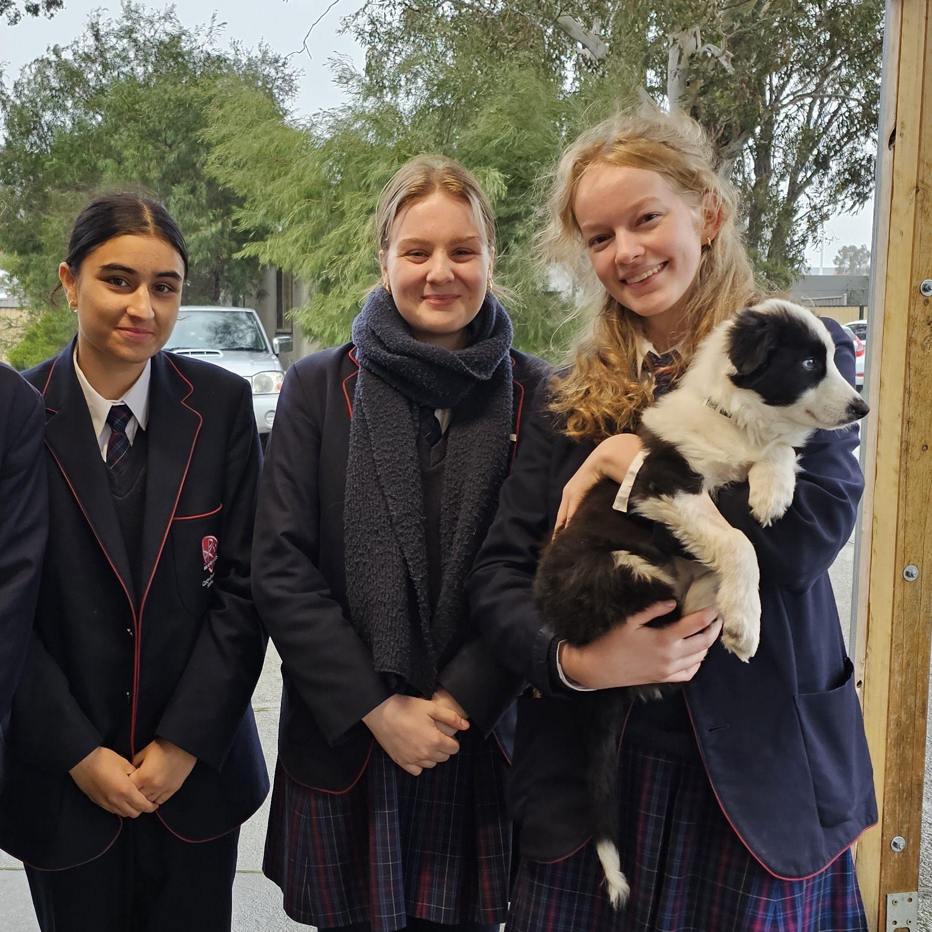 2023, Term 3, edition - Casey Grammar School