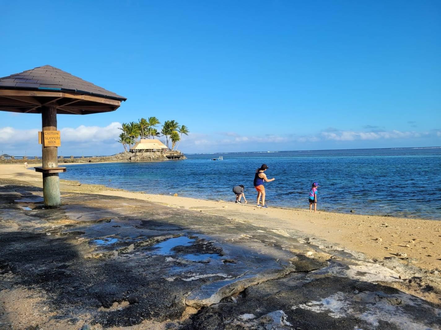 2024, Term 4, Edition 15 - Meet - Casey Grammar School